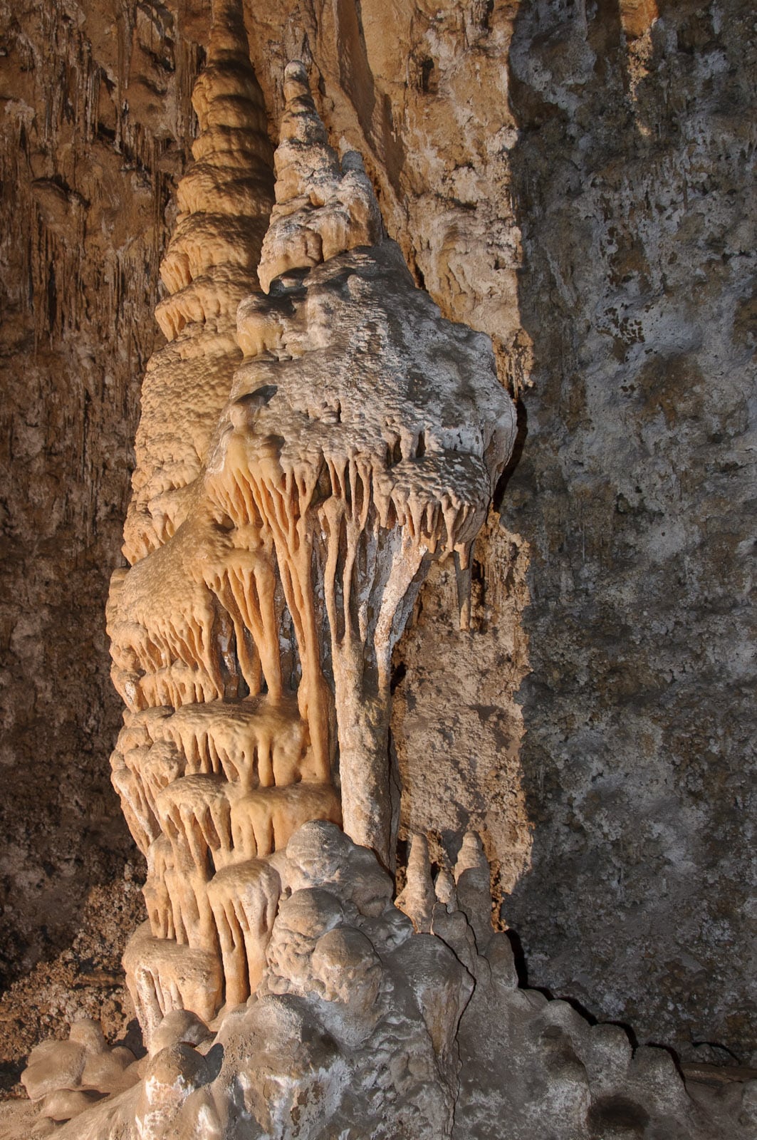 Carlsbad Caverns—Part I: Capture