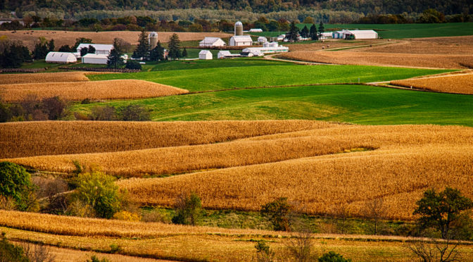 Iowa Fall Landscapes | William Horton Photography