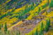 Photogaphs of San Juan Mountain Mining Ruins near Ouray, Colorado