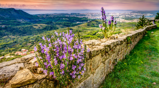 Dalmatian Coast Photographs | William Horton Photography