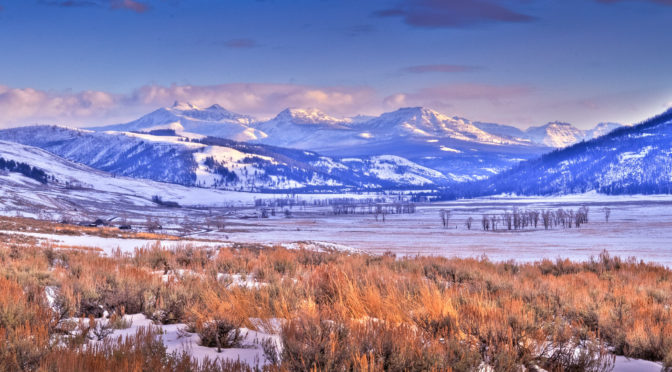 Photographs of Yellowstone National Park and Its Animals, Geysers, and ...