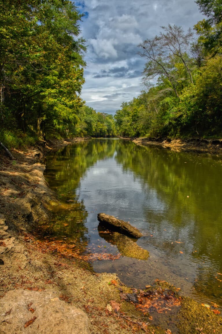 Evergreen, Alabama Photographs - William Horton Photography