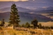 Chief Joseph Scenic Byway - William Horton Photography